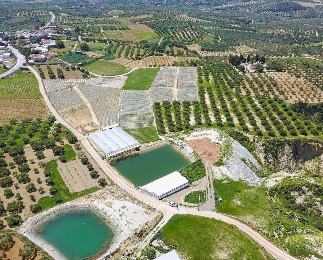 Τα αγροκτήματα μας – ΒΟΤΑΝΑΚΙ